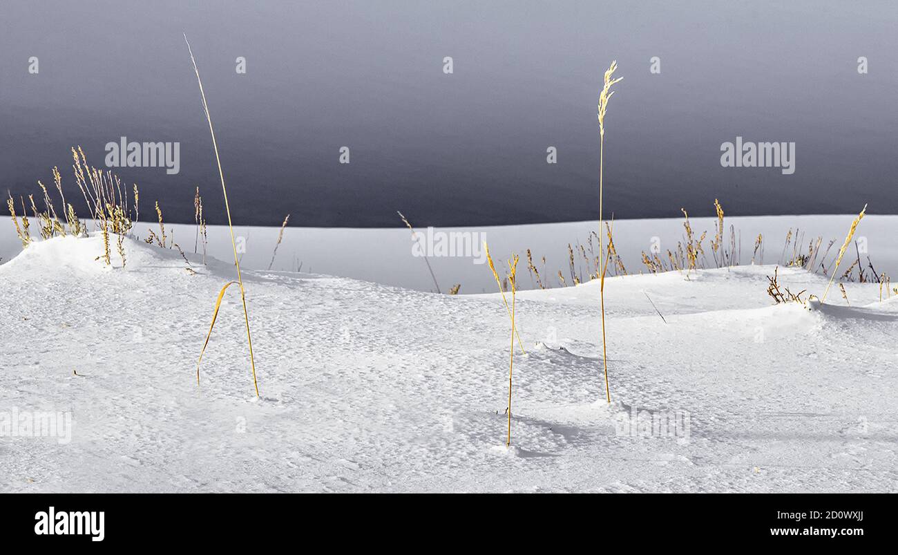 Windswept snow hi-res stock photography and images - Alamy
