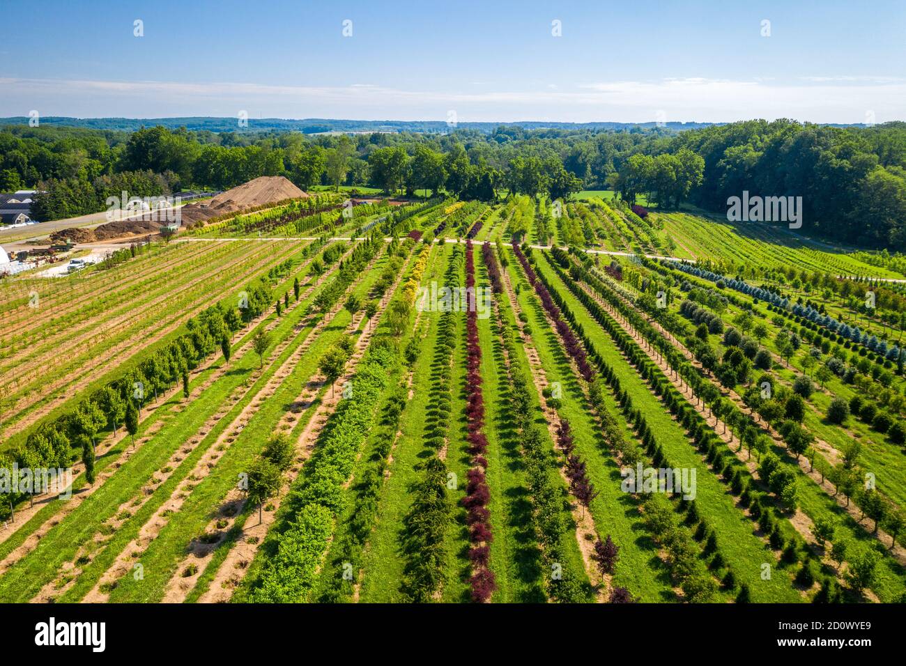 Manor farm nursery hi-res stock photography and images - Alamy