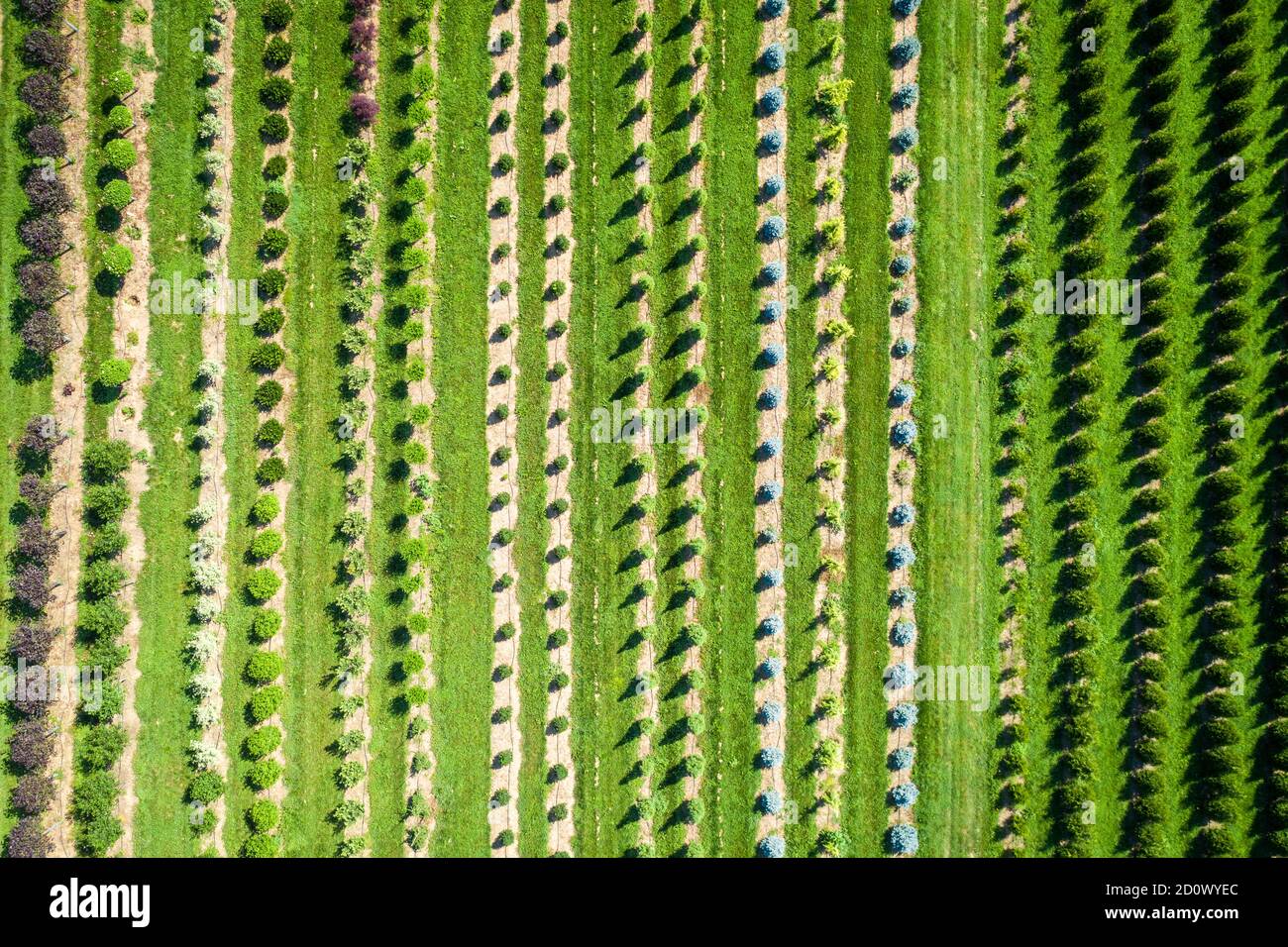 Aerial View of the Nursery at Manor View Farms, Jacksonville, MD Stock ...