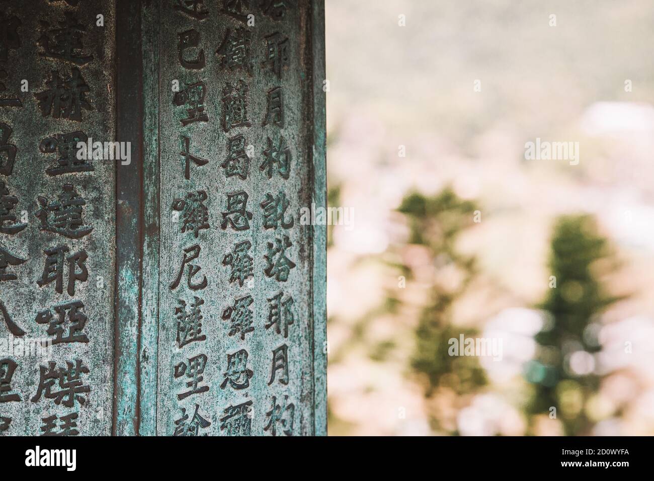 Closeup shot of Tian Tan Giant Buddha symbols from Po Lin temple in ...