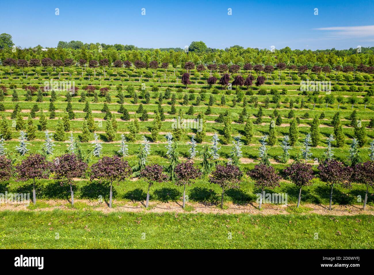 Nursery at Manor View Farms, Jacksonville, MD Stock Photo - Alamy