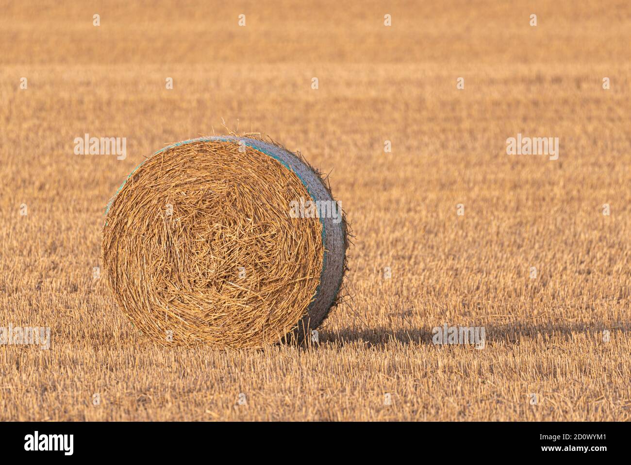 Hay roll hi-res stock photography and images - Alamy