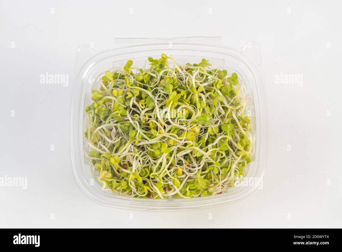 Fresh alfalfa radish sprouts hi-res stock photography and images - Alamy