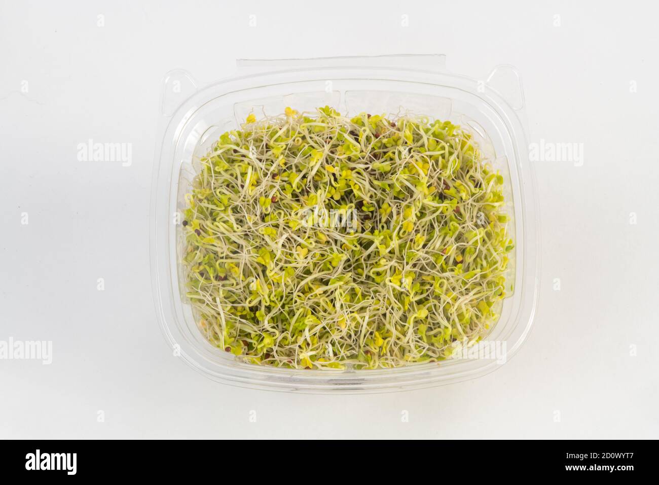 Broccoli sprouts hi-res stock photography and images - Alamy