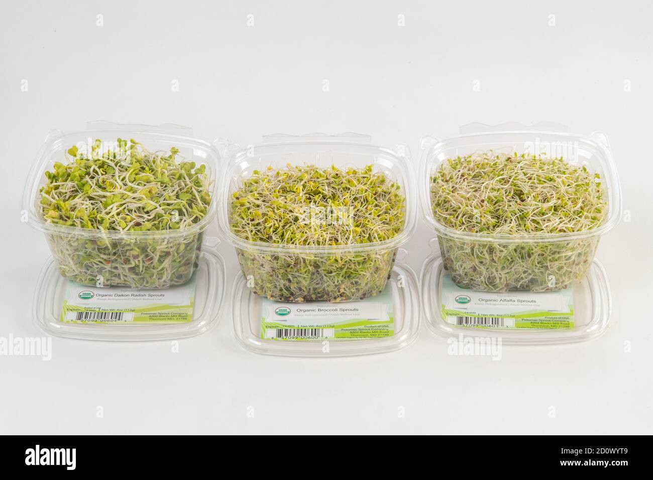 Potomac Sprout Company Organic Sprout Selection Stock Photo - Alamy