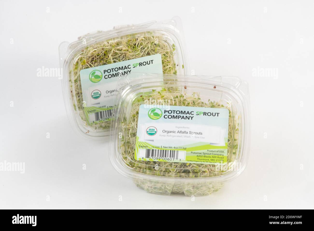 Potomac Sprout Company Organic Alfalfa Sprouts Stock Photo - Alamy