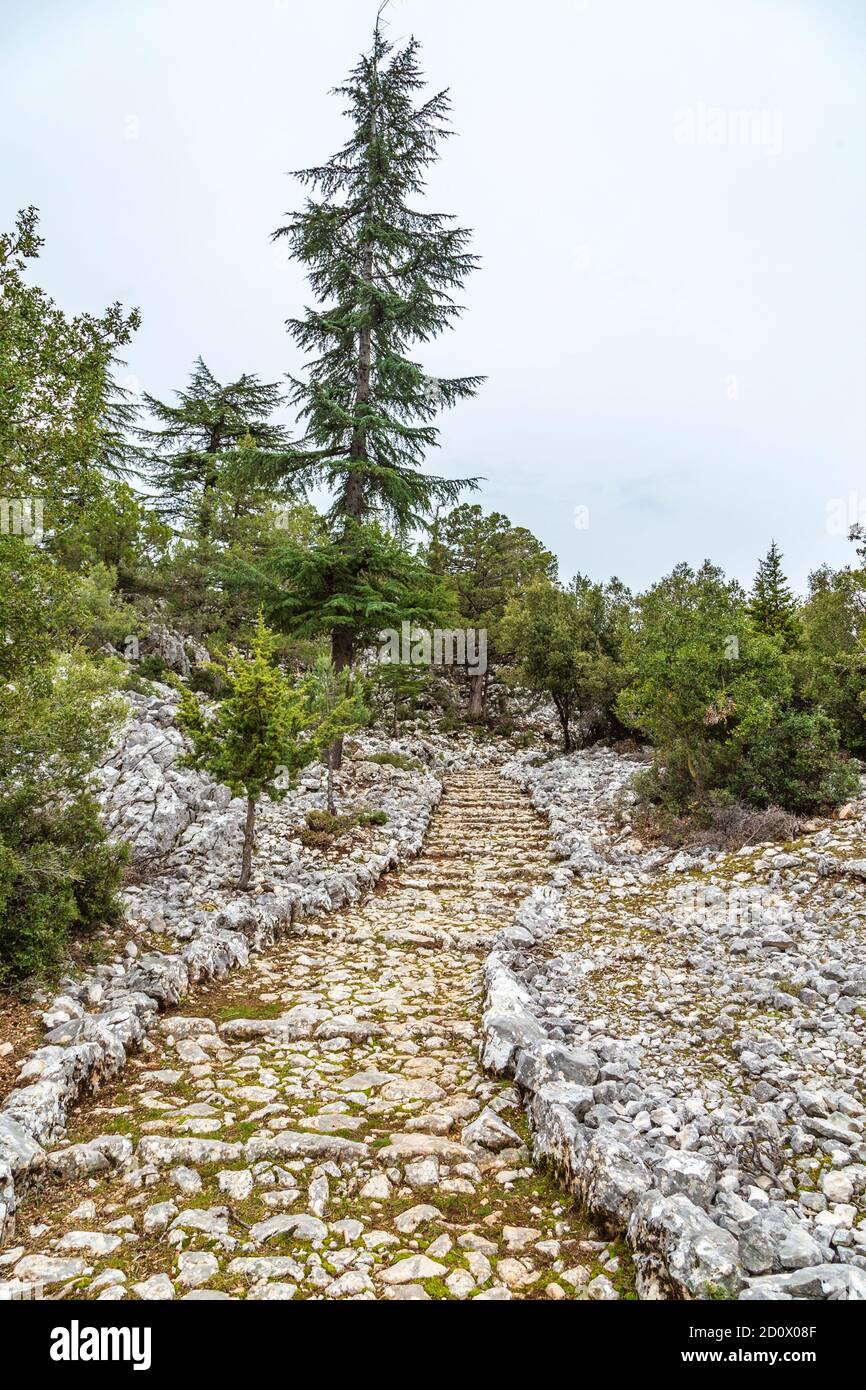 Original buildings reflecting traditional Ottoman architecture in ...