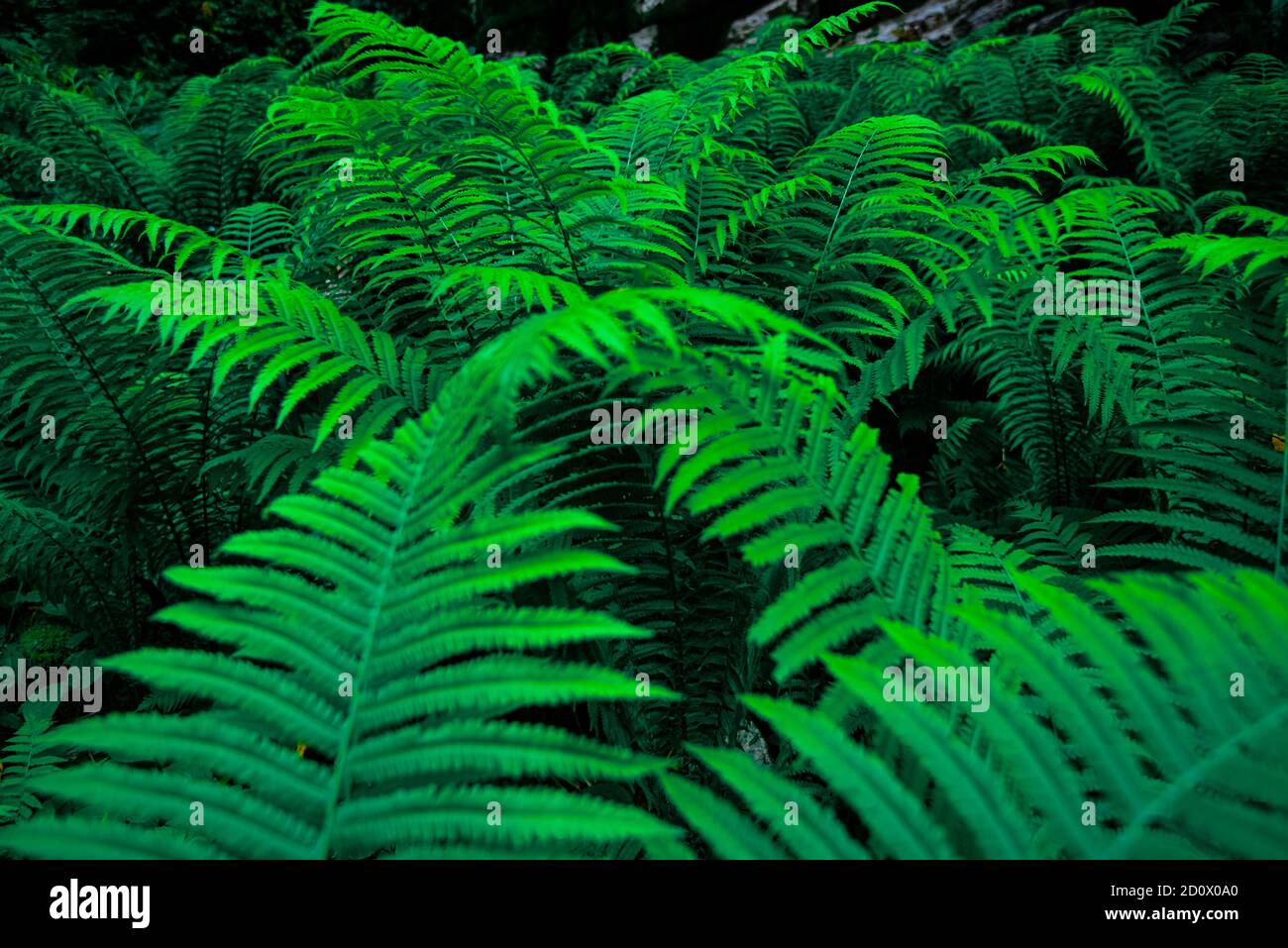 Banner texture hi-res stock photography and images - Alamy