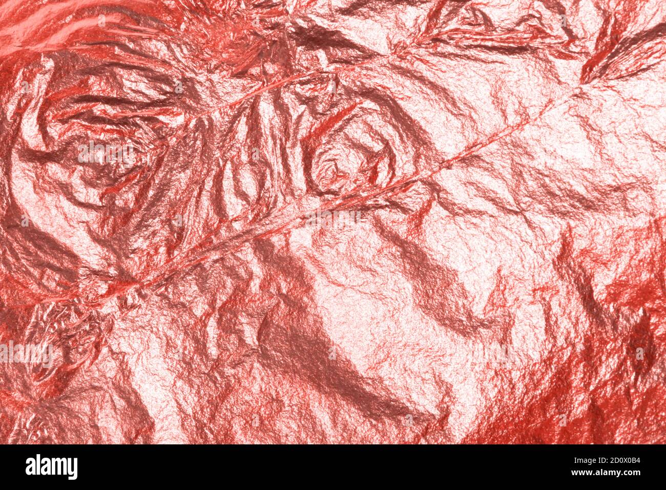 Trend photography on the theme of the color of the year 2019 - Living ...