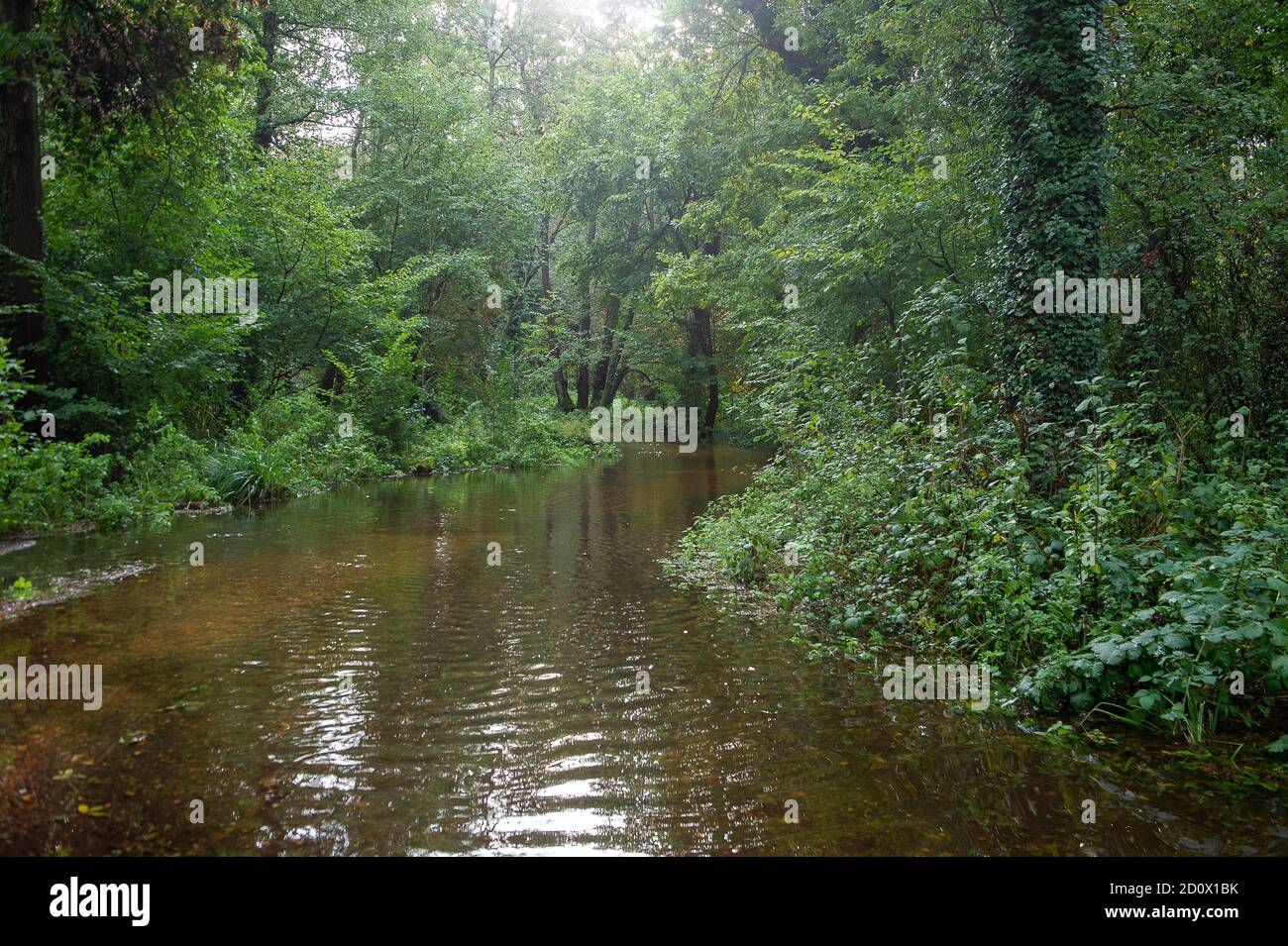 Denham, Buckinghamshire, UK. 3rd October, 2020. The chalk River Colne ...