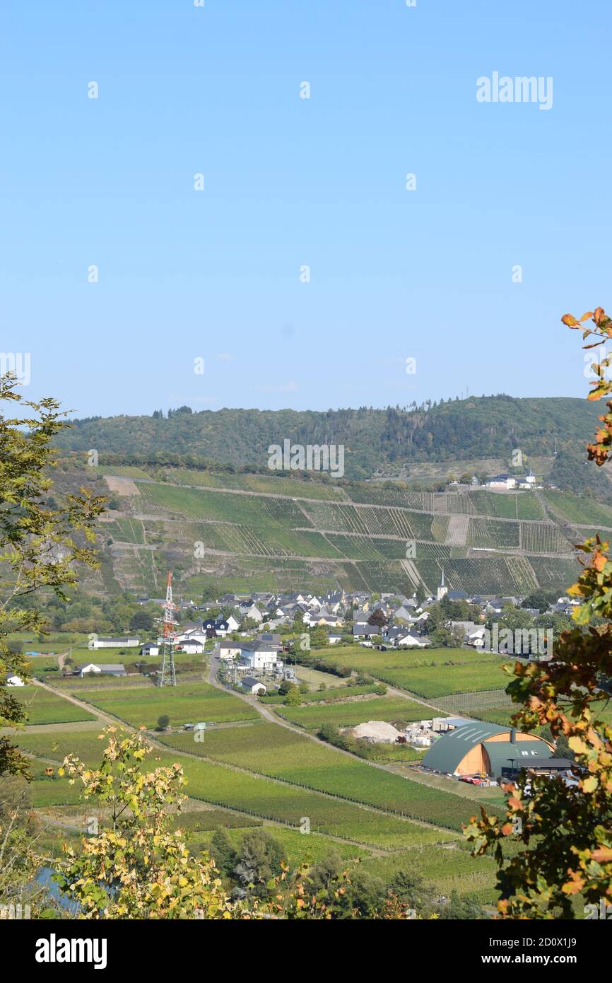 view into Mosel valley from the rock Heißer Stein above Reil Stock ...