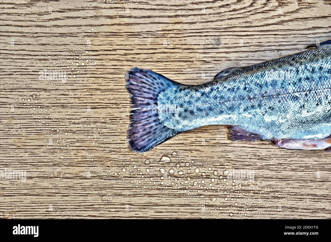 Fishy scales hi-res stock photography and images - Alamy
