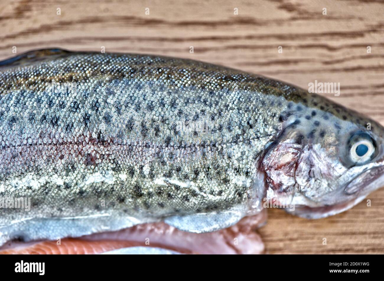 Wet example hi-res stock photography and images - Alamy