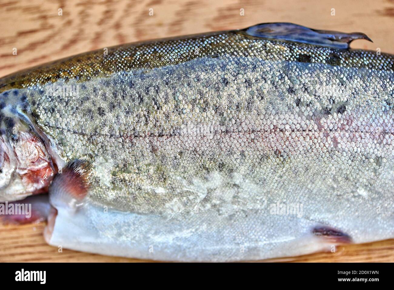 Fresh gutted fish example Stock Photo - Alamy