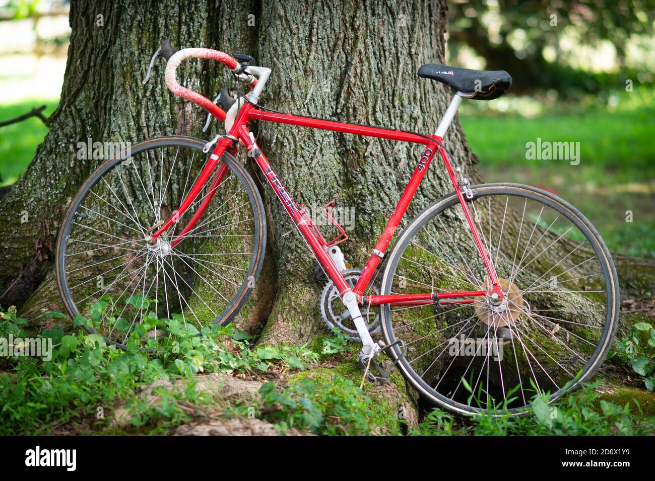 Resting against tree hi-res stock photography and images - Alamy