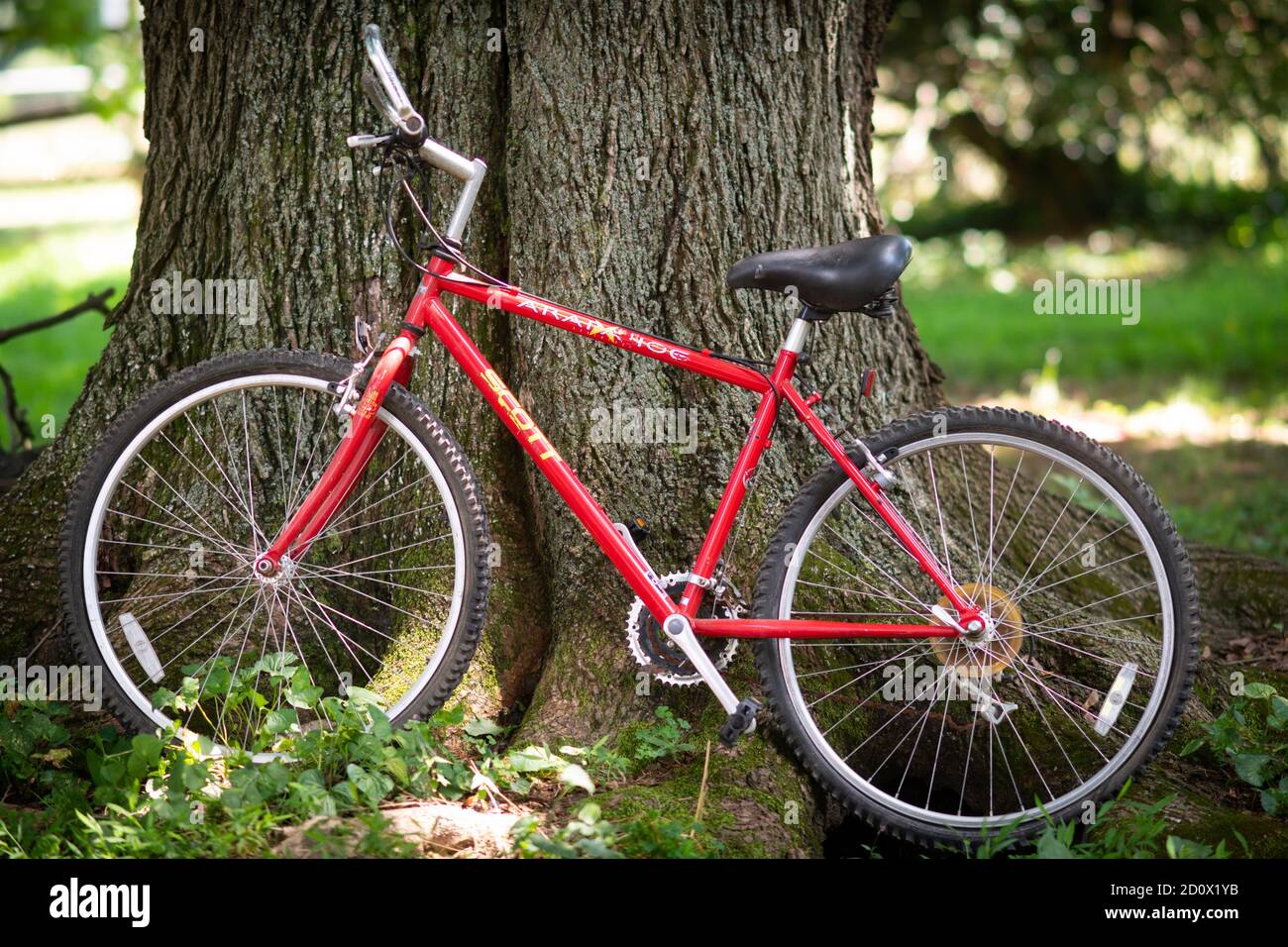 Red Bike resting against tree in yard, Fallston, MD Stock Photo - Alamy