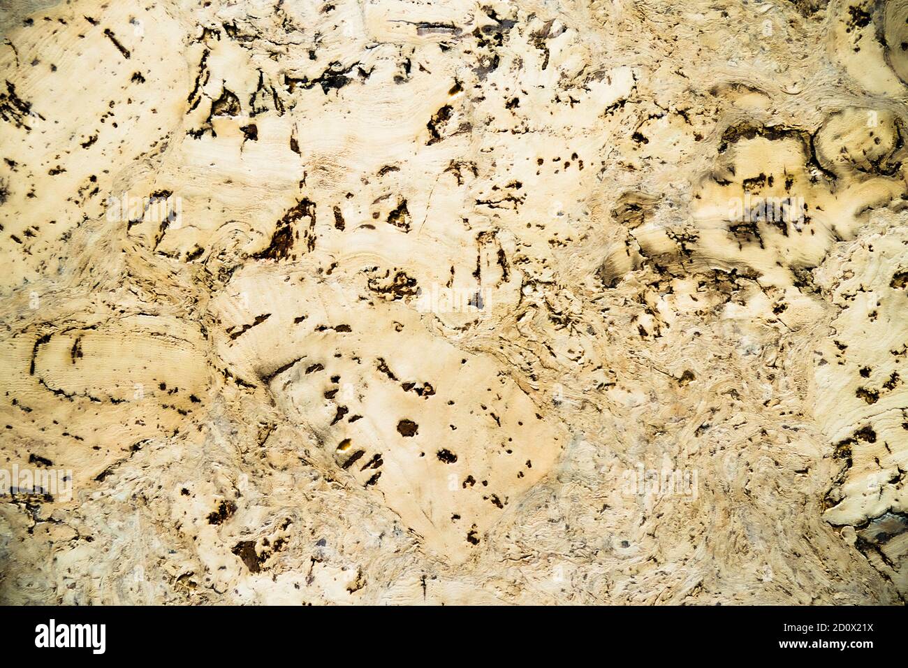 Hardwood Surface Texture Background. Rough Grunge Texture Stock Photo ...