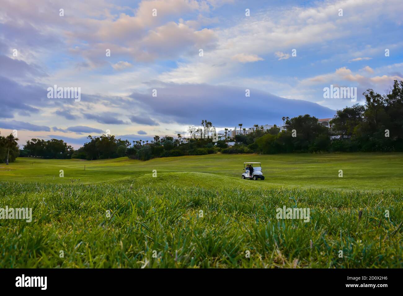 Golf buggy green vehicle hi-res stock photography and images - Alamy