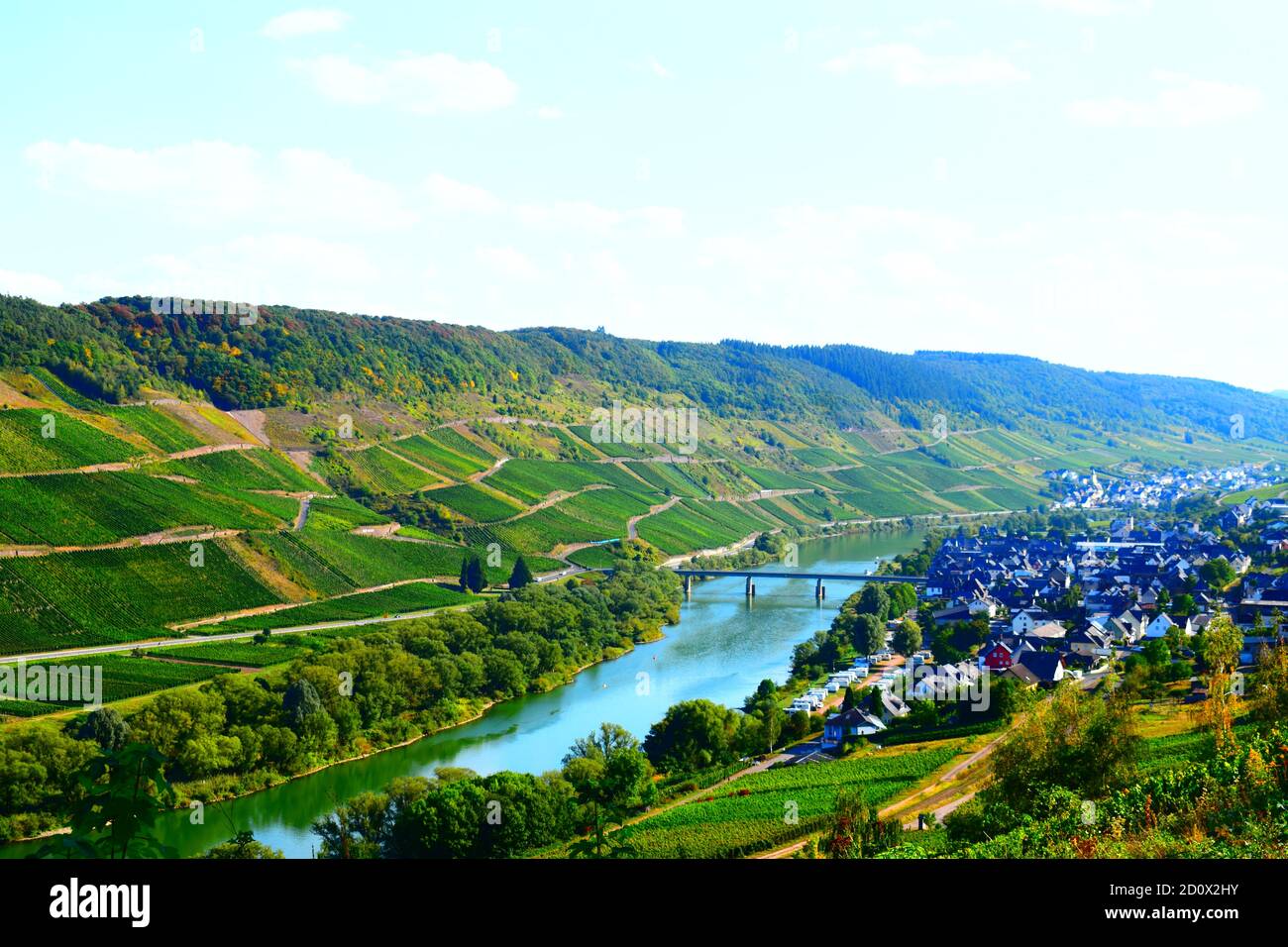 view into Mosel valley with the bridge to Reil Stock Photo - Alamy