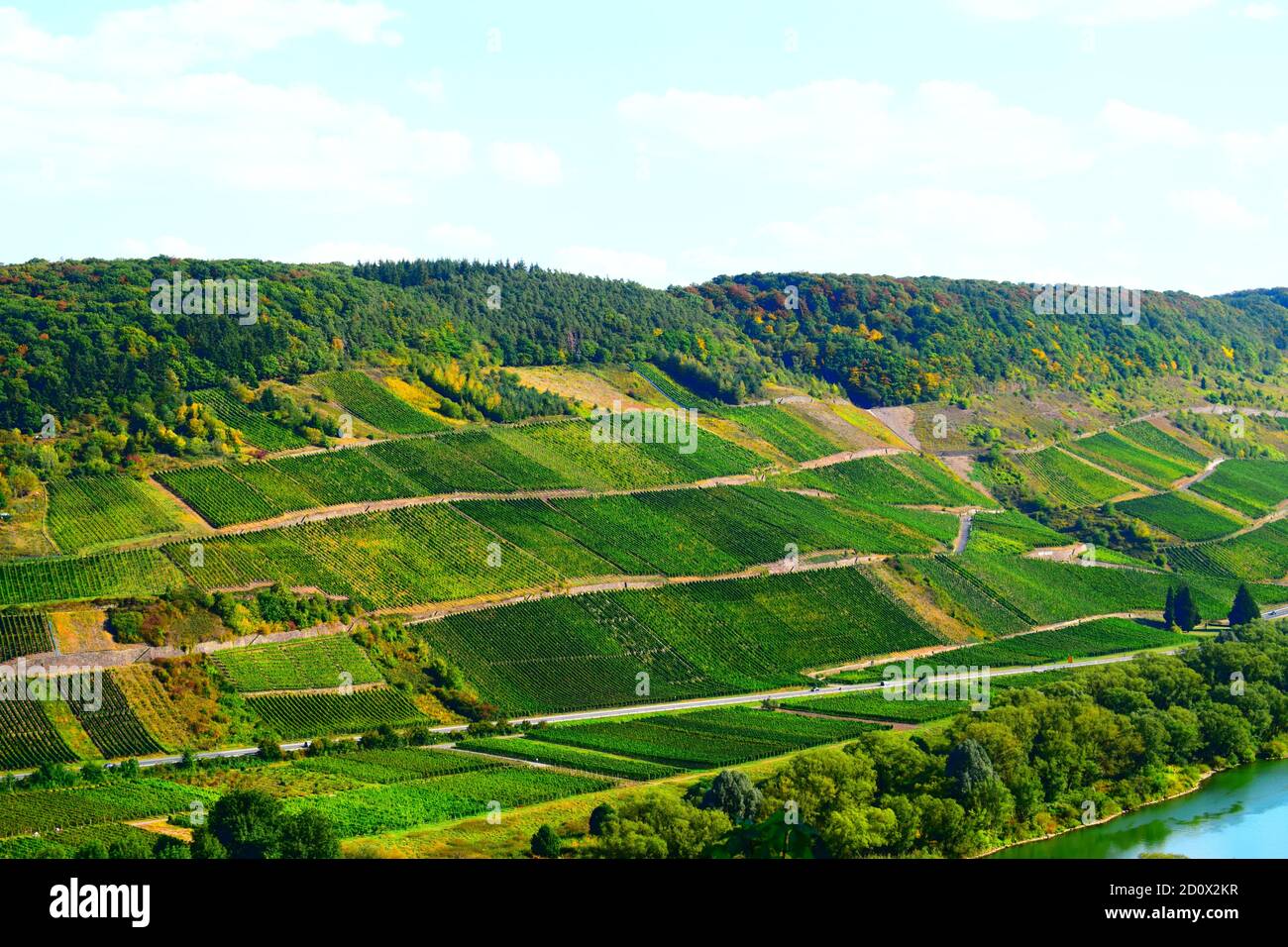 view into Mosel valley from the rock Heißer Stein above Reil Stock ...