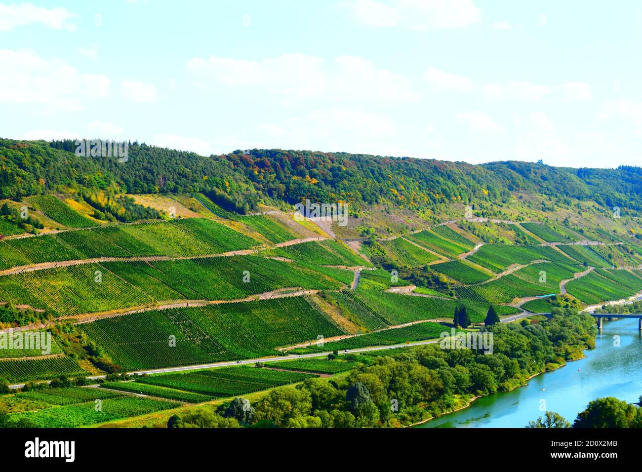 view into Mosel valley with the bridge to Reil Stock Photo - Alamy