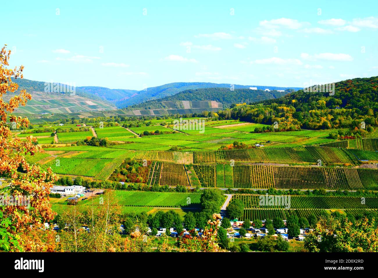 Moseldorf reil hi-res stock photography and images - Alamy