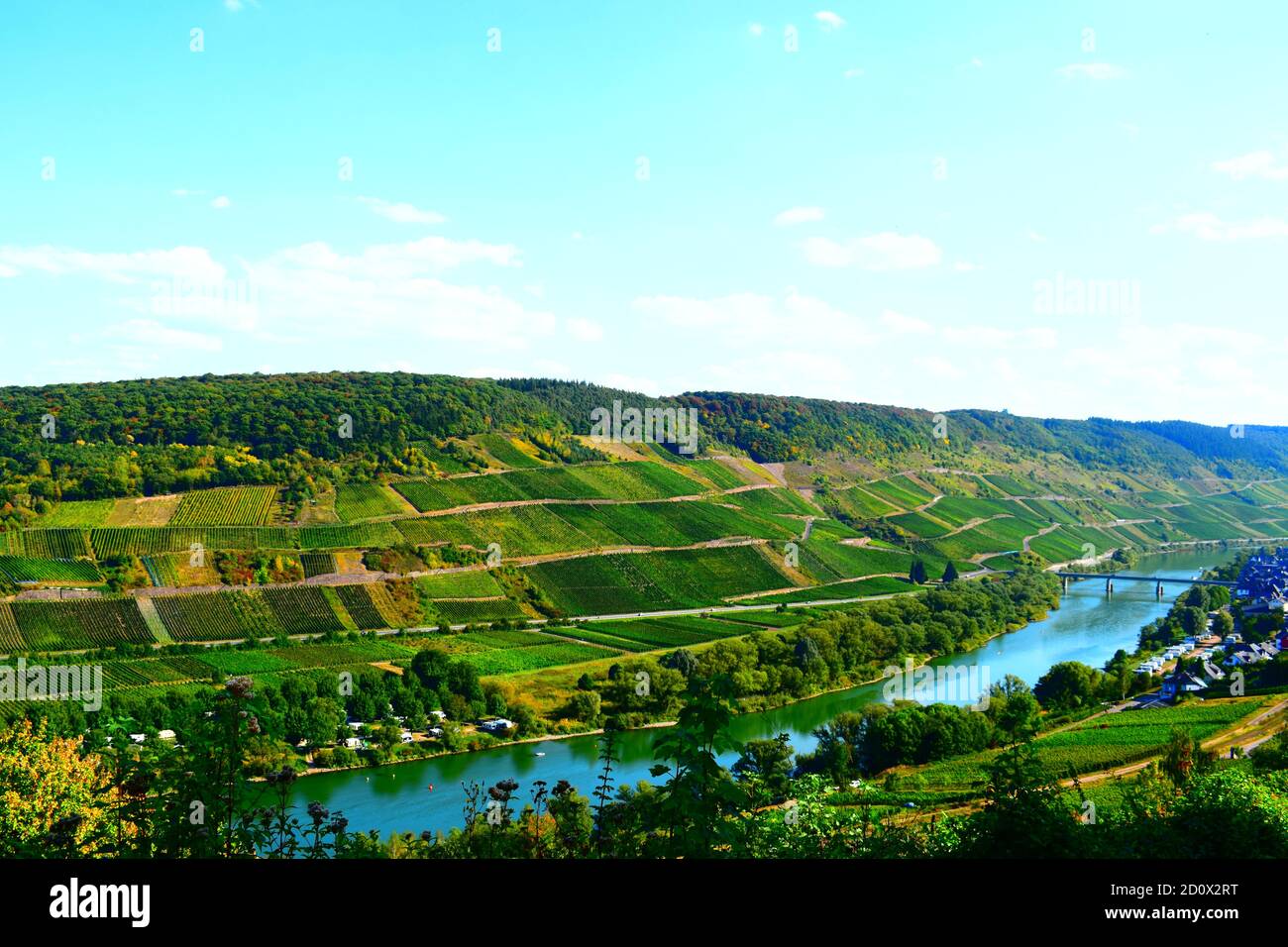 view into Mosel valley with the bridge to Reil Stock Photo - Alamy