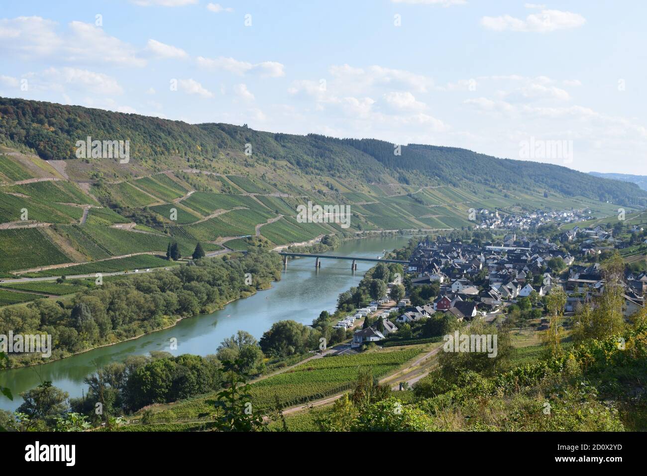 view into Mosel valley with the bridge to Reil Stock Photo - Alamy