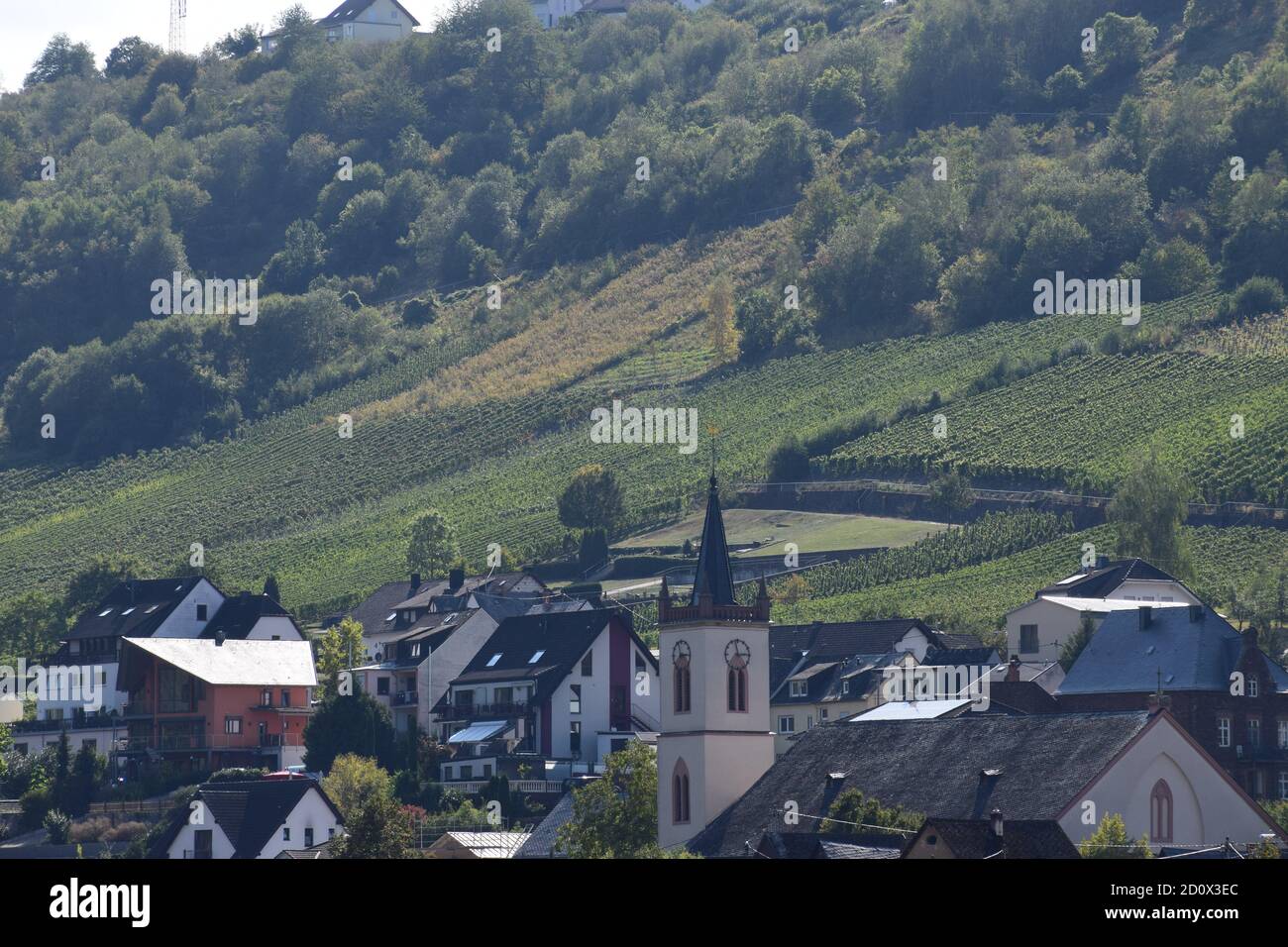 Mosel valley village Reil Stock Photo - Alamy