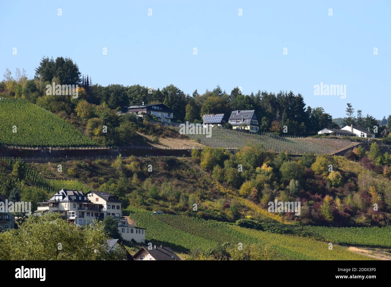 Mosel valley village Reil Stock Photo - Alamy