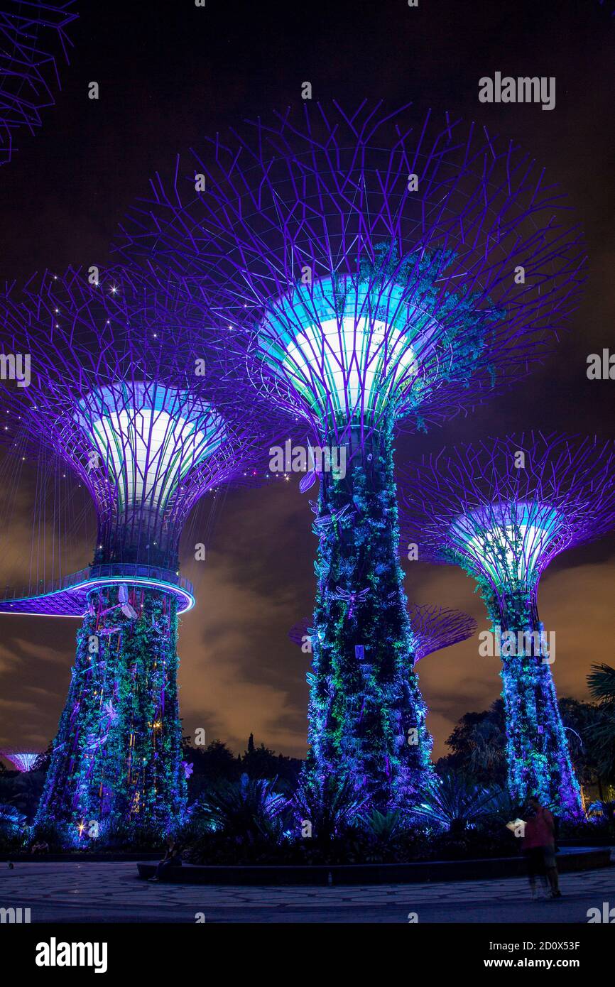 Vertical shot of Supertree Grove covered in colorful lights at night in ...