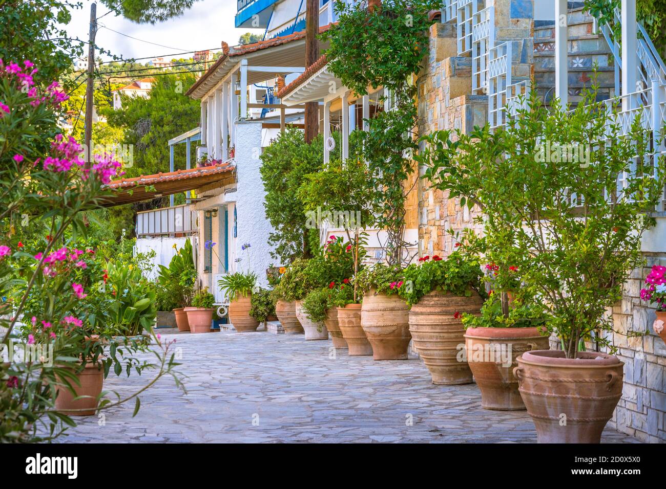 Patitiri is the harbor of Alonnisos island, Greece Stock Photo - Alamy