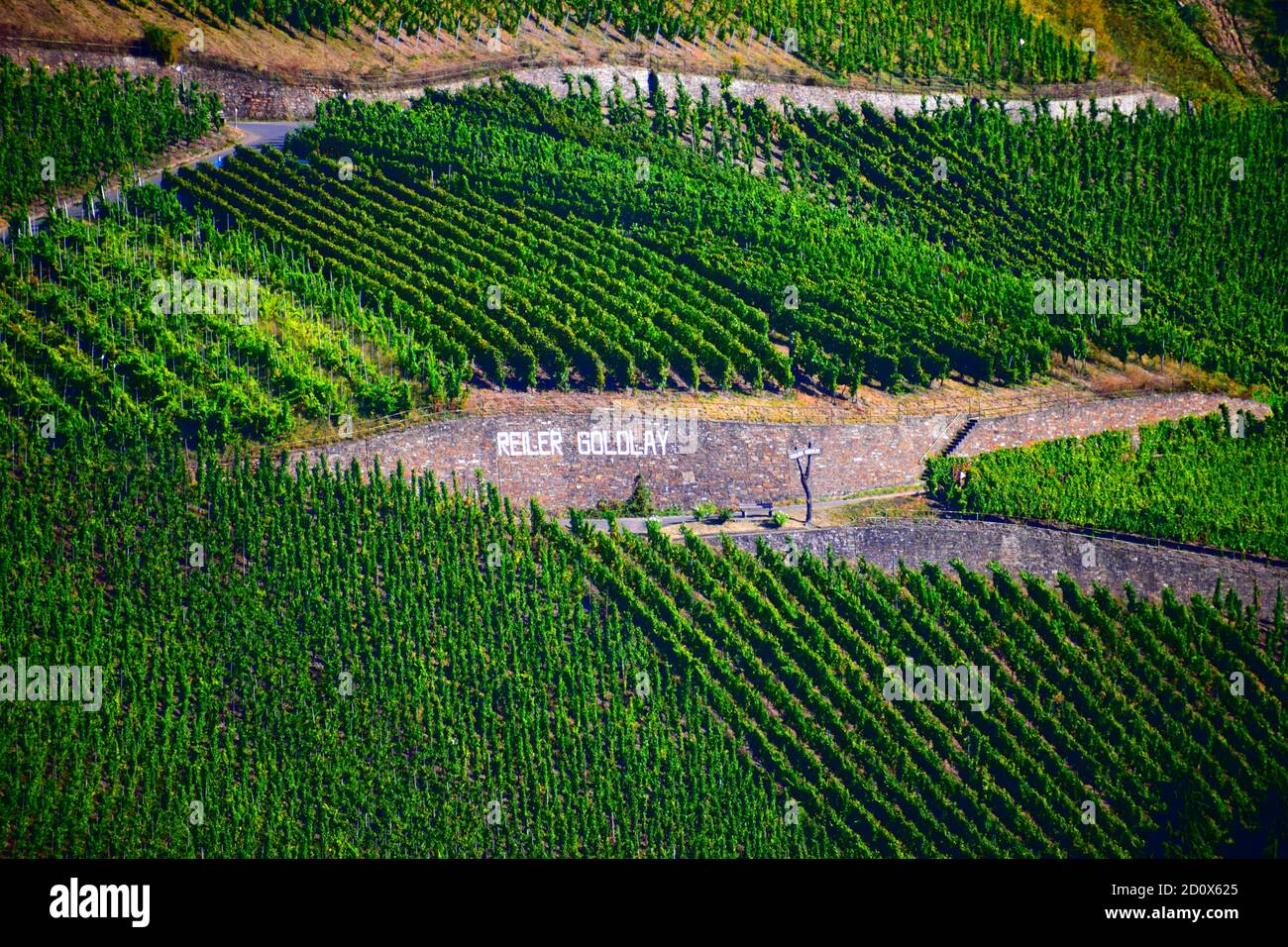 view into Mosel valley from the rock Heißer Stein above Reil Stock ...
