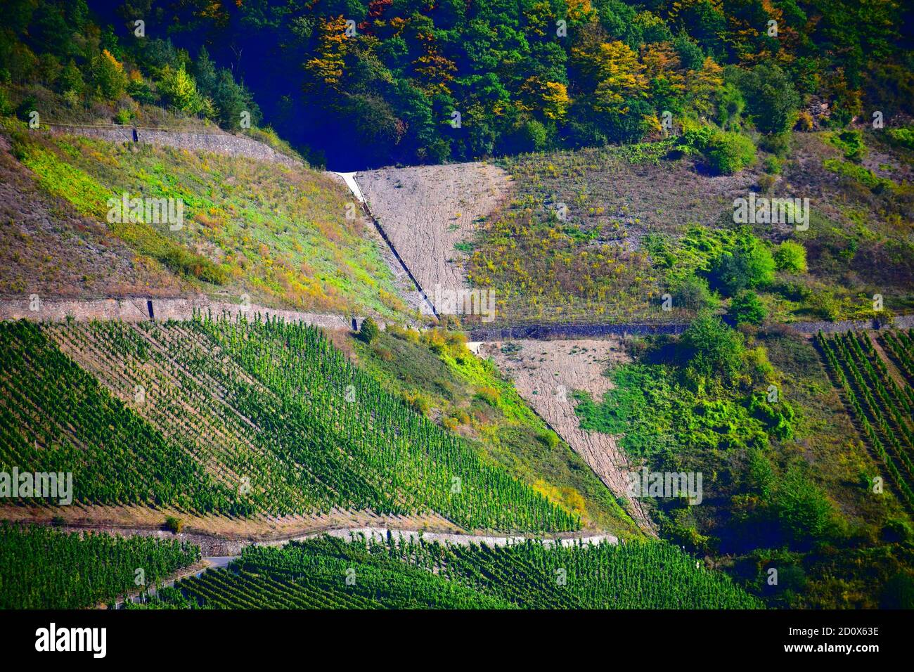 view into Mosel valley from the rock Heißer Stein above Reil Stock ...