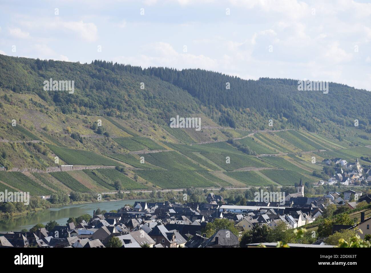view into Mosel valley from the rock Heißer Stein above Reil Stock ...
