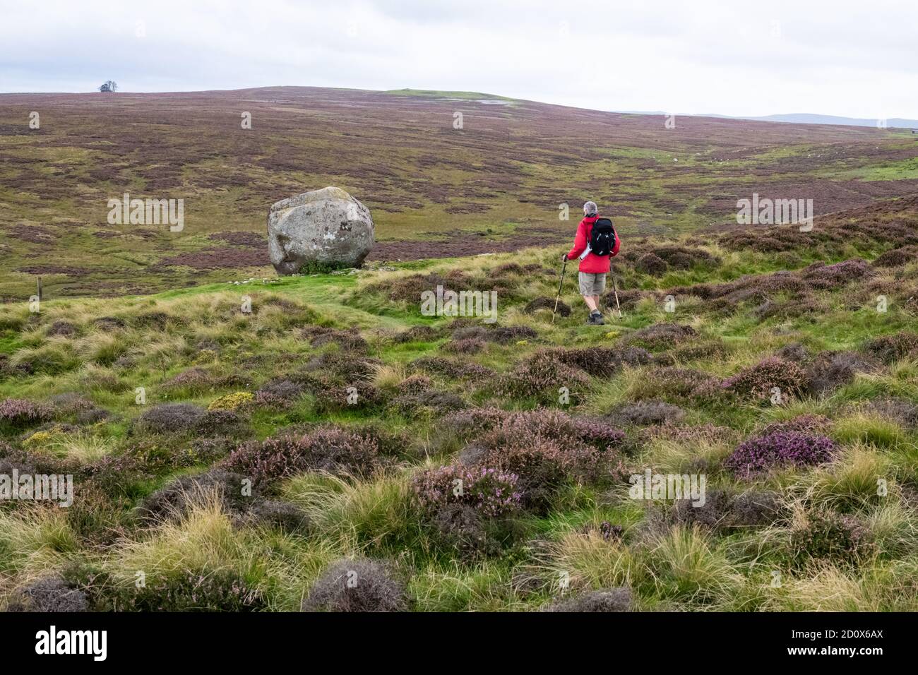 Erratic boulder coast hi-res stock photography and images - Alamy
