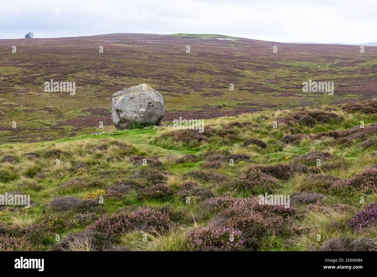 Granite erratic boulder, Crosby Ravensworth Fell, Cumbria, England, UK ...