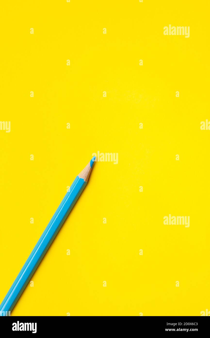 diagonal blue sharp wooden pencil on a bright yellow background ...