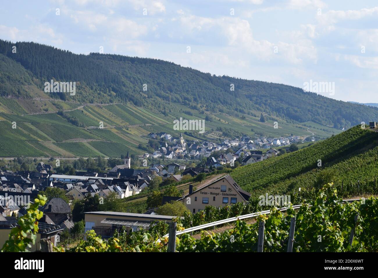 view into Mosel valley from the rock Heißer Stein above Reil Stock ...
