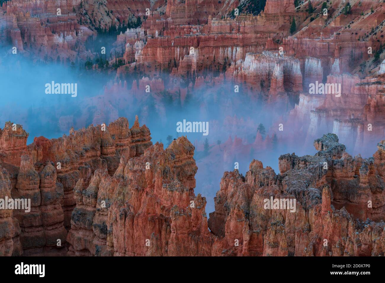 Fog in Bryce Canyon National Park, Utah, Usa, America Stock Photo - Alamy