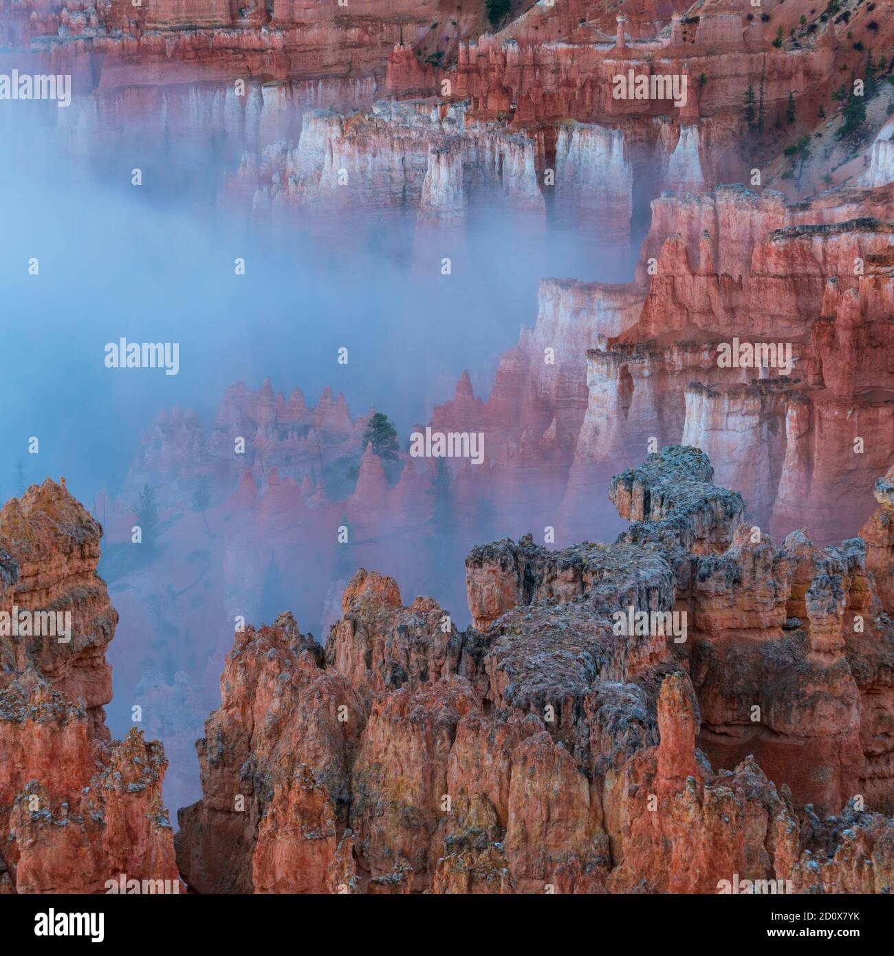 Fog in Bryce Canyon National Park, Utah, Usa, America Stock Photo - Alamy