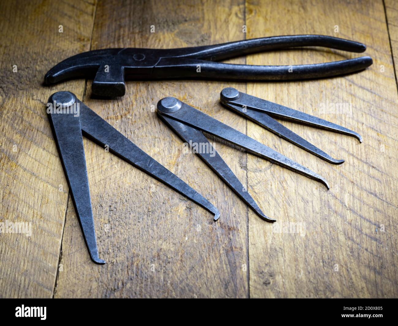 Leg callipers leg calliper leg callipers leg caliper hi-res stock ...