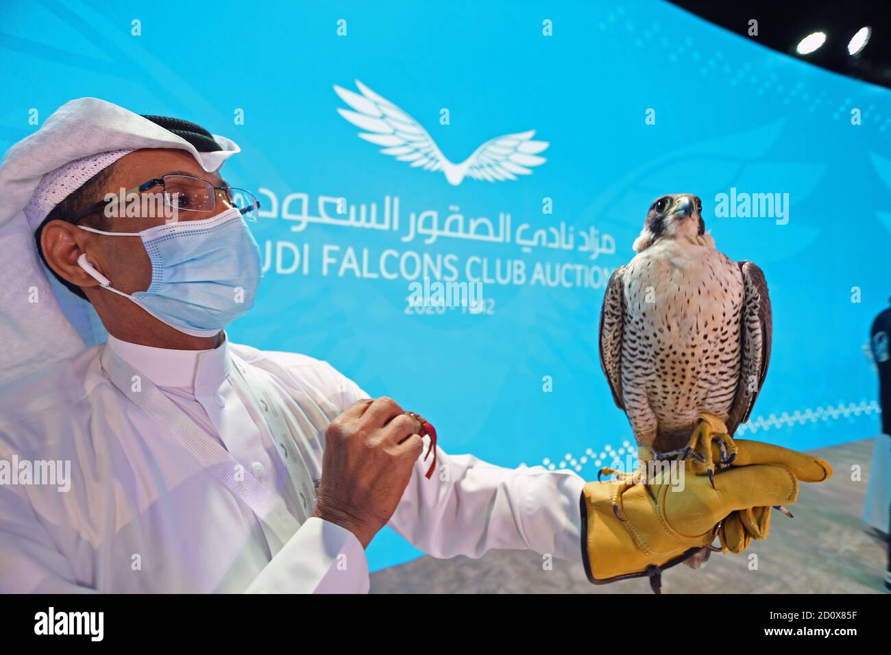 Saudi falcon club hi-res stock photography and images - Alamy
