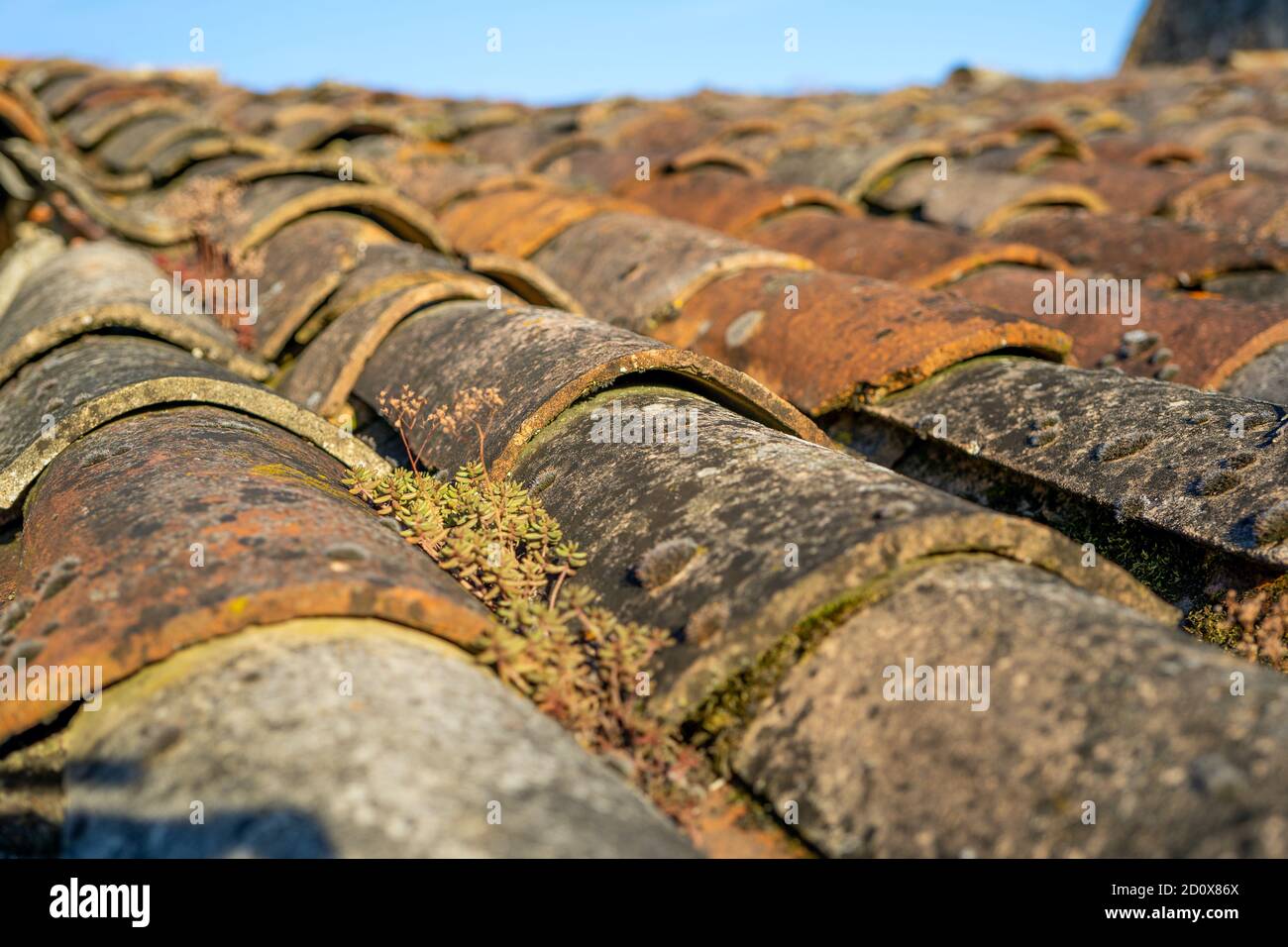 Old and ruined roofs. Texture of a roof with old roof tiles. Macro ...