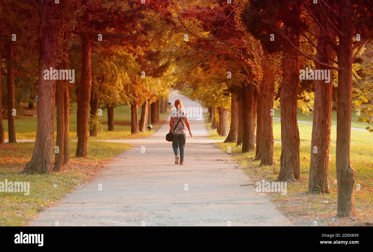 October walk hi-res stock photography and images - Alamy