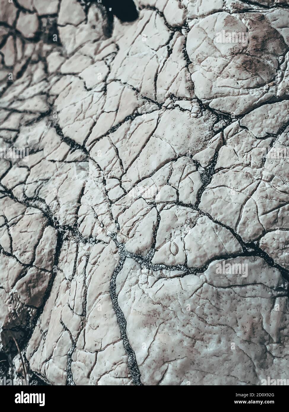 Vertical shot of a cracked ground Stock Photo - Alamy