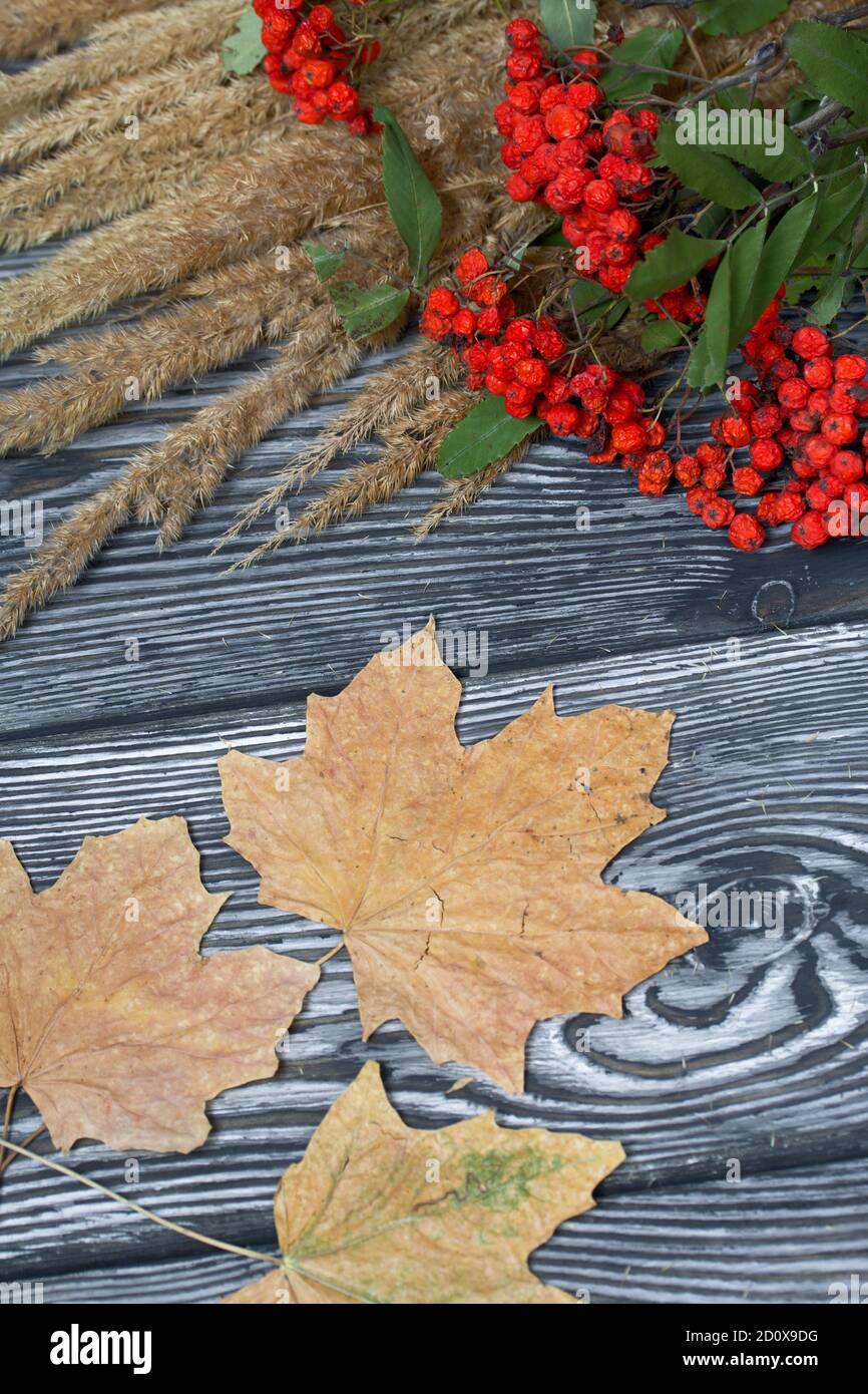 A bouquet of dried grass and rowan branches. Nearby are dried maple ...