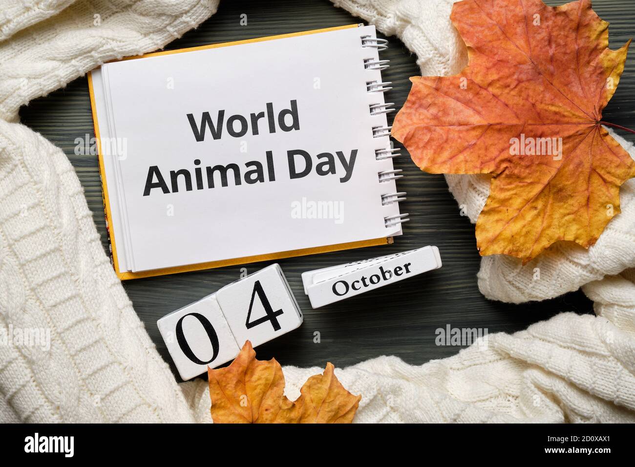 World Animal Day of autumn month calendar october Stock Photo - Alamy