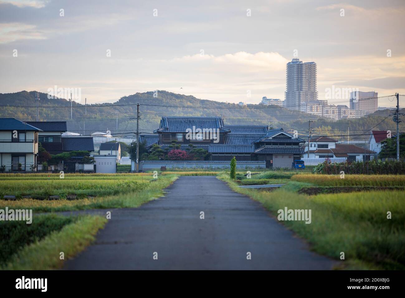 Road leading to Japanese wooden house with high rise apartment building ...