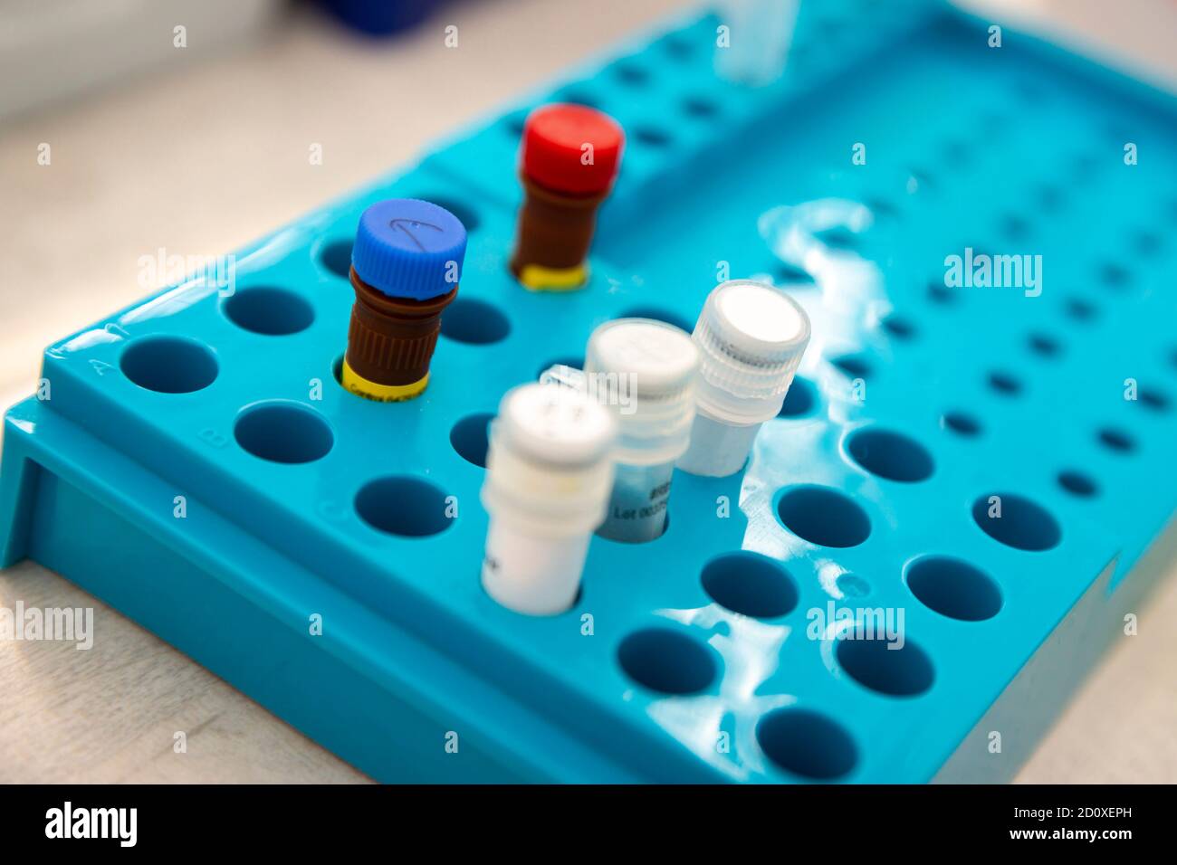 COVID-19 testing equipment and procedure in a testing laboratory Stock ...